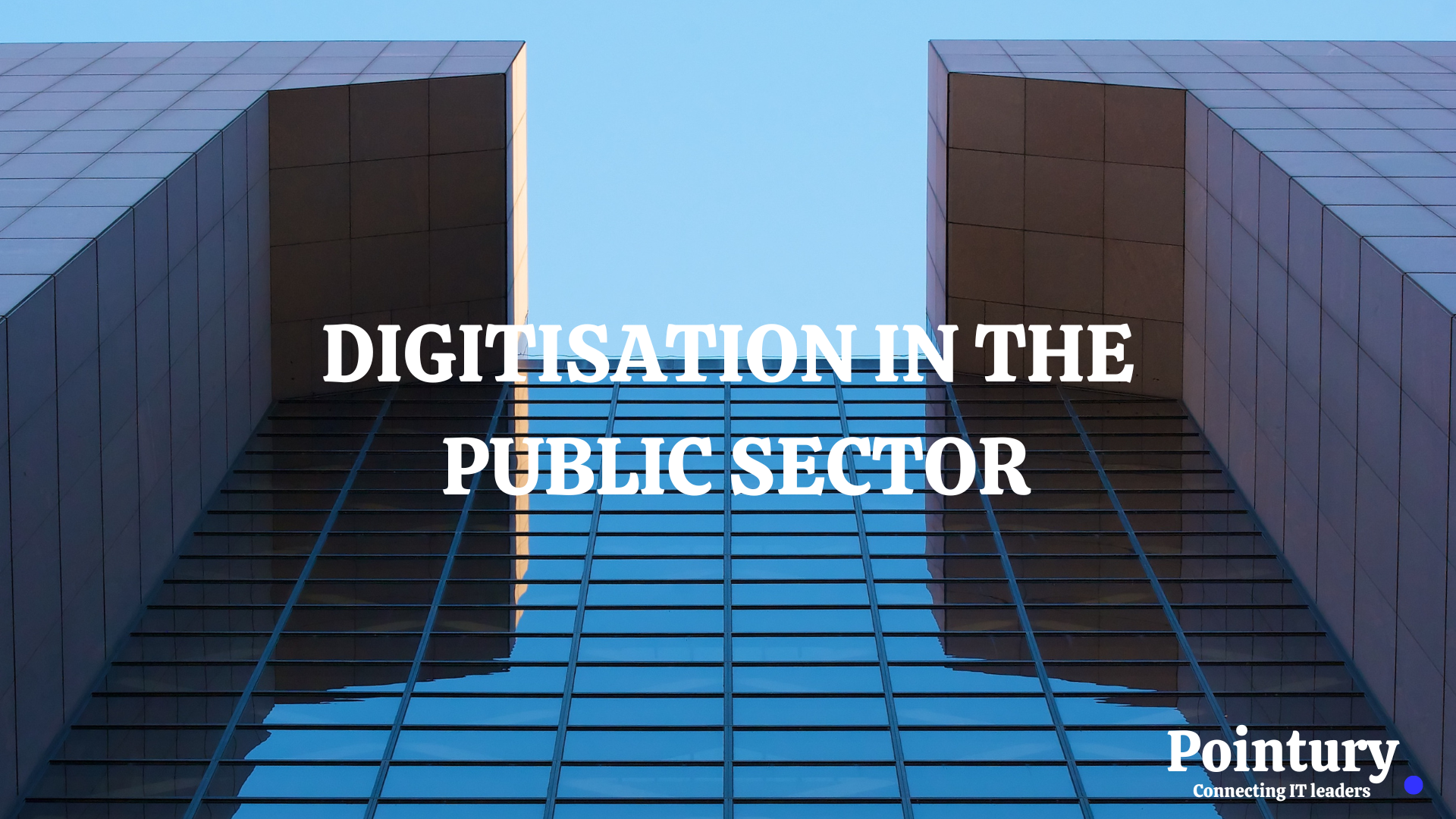 Digitisation In Public Sector